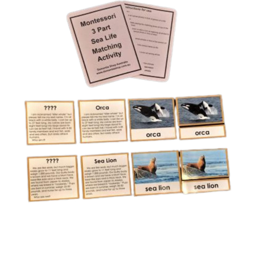 Montessori Three Part Matching Activity Level 3 – HMGDirect
