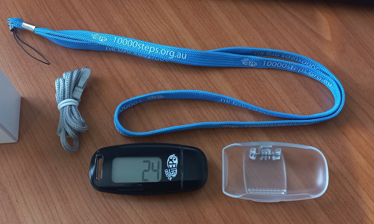 10,000 Steps 3D USB Activity Tracker (With Rechargeable Battery ...