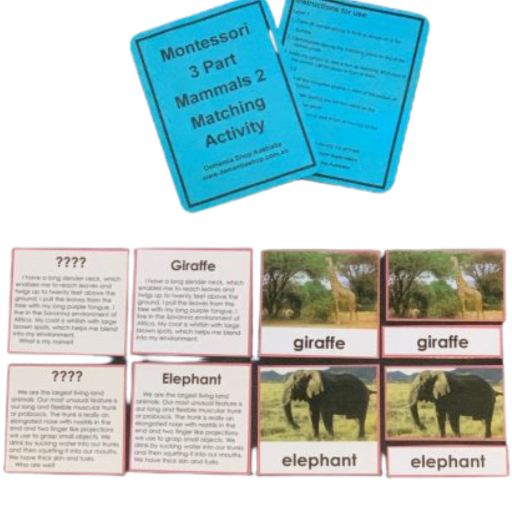 Montessori Three Part Matching Activity Level 3 – HMGDirect