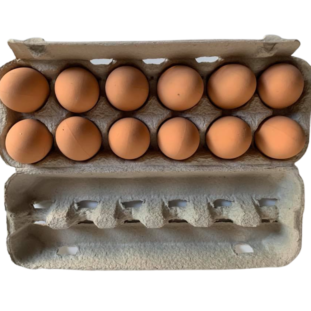 Bouncing Eggs – HMGDirect