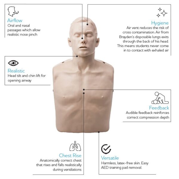 Adult CPR Manikin (Standard, Pulse & Bluetooth Models) – HMGDirect