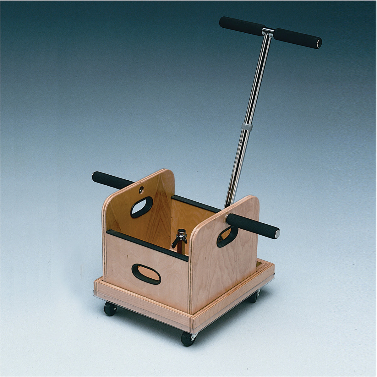 FCE Weighted Mobile Carts – HMGDirect