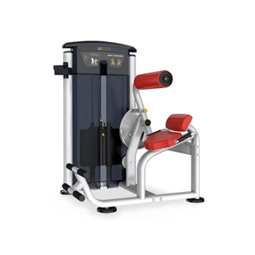 Impulse Fitness IT9532 Commercial Back Extension Machine | HMGDIRECT ...