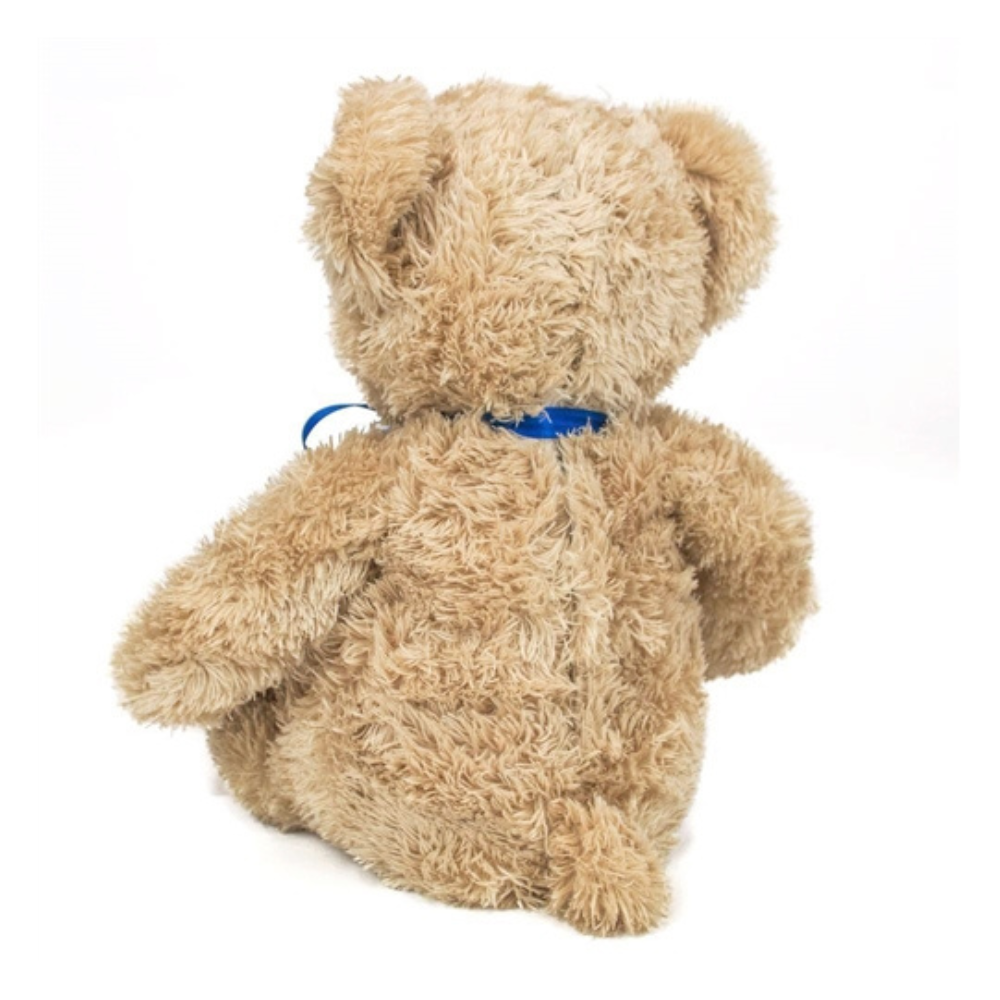Arthur Bear Musical Teddy Bear For Cognizance & Engagement – HMGDirect