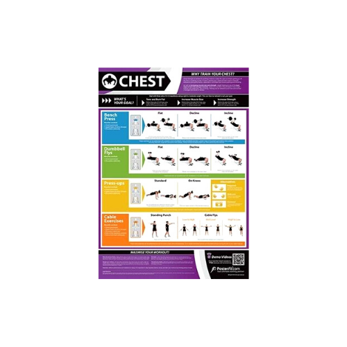Exercise Posters (Complete Set) | HMGDIRECT – HMGDirect