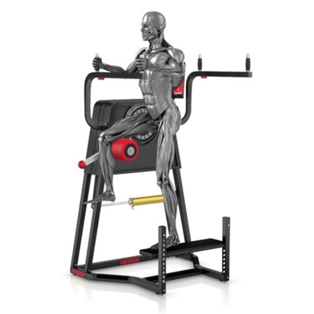 Keiser A250 Standing Hip Machine | HMGDirect
