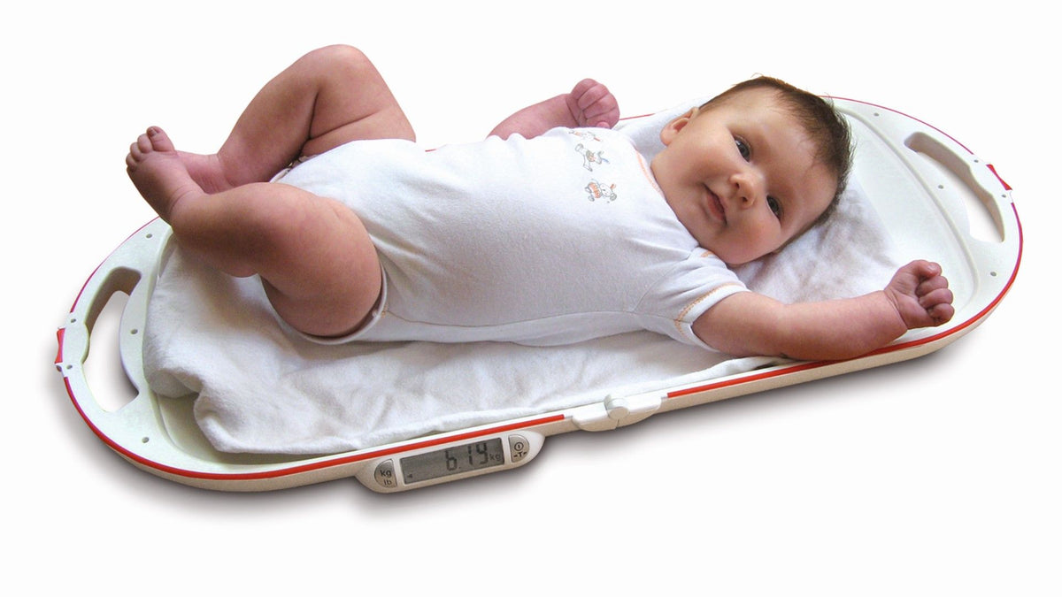 SOEHNLE Portable Foldable Baby Scales – HMGDirect